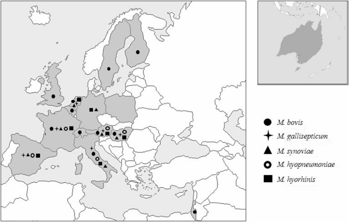 Advancing standardization of diagnostics and antimicrobial ...