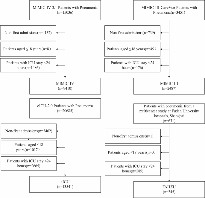 Development and multi-database validation of interpretable machine learning models for ...