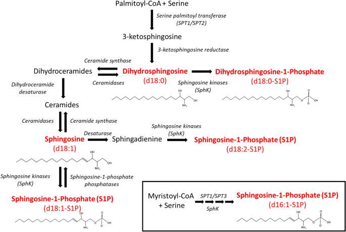 Inverse relationship between circulating sphingosine-1-phosphate and ...
