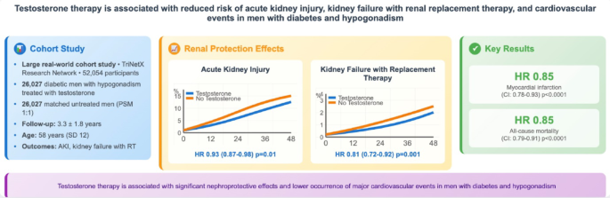 Testosterone therapy is associated with reduced risk of acute kidney ...