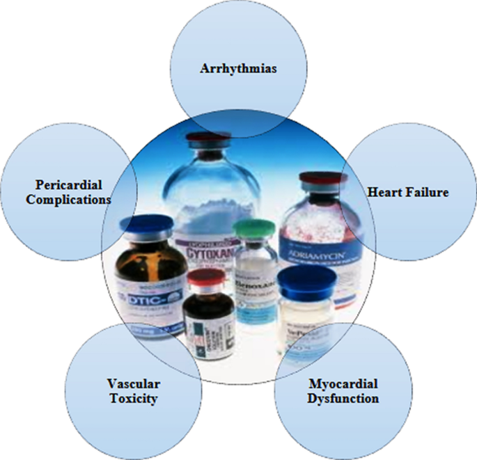 A review of cardioprotective effect of ginsenosides in chemotherapy ...