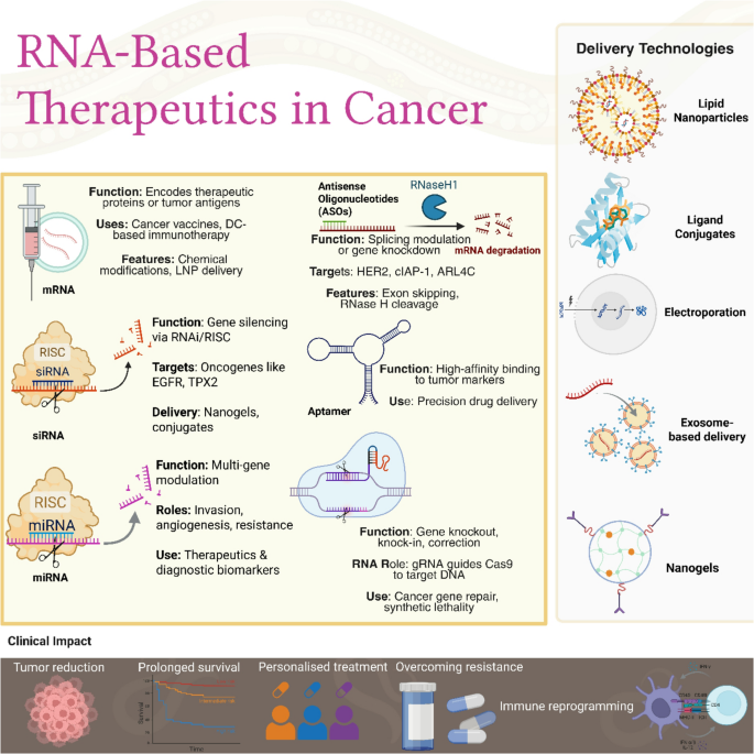 Advances in RNA-based cancer therapeutics: pre-clinical and clinical ...