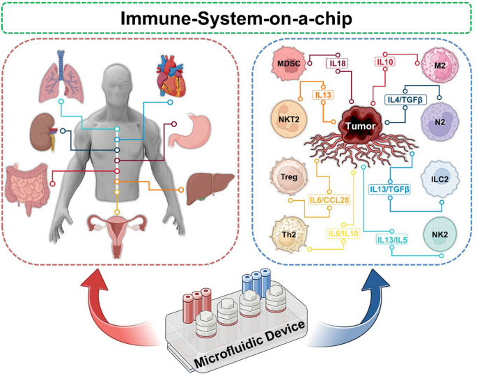 Advances in engineering immune–tumor microenvironments on-a-chip ...