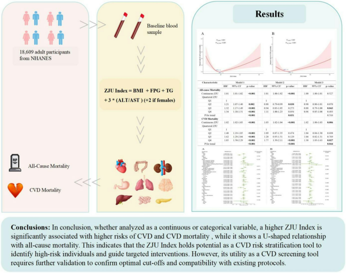 Associations of the Zhejiang University (ZJU) index with cardiovascular diseases and mortality ...