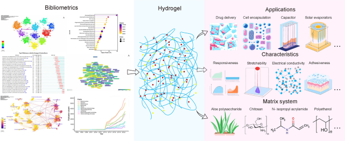 A bibliometric analysis of hydrogel research in various fields: the ...