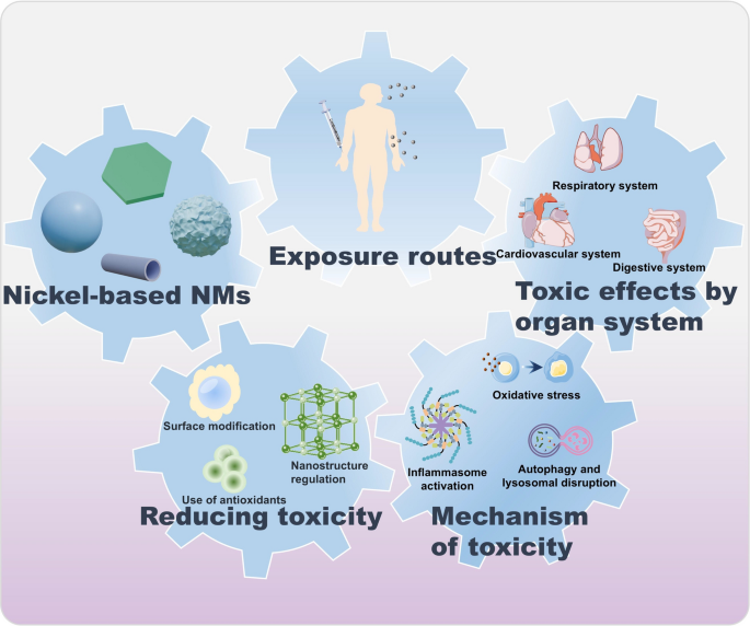 Nickel-based nanomaterials: a comprehensive analysis of risk assessment, toxicity mechanisms ...
