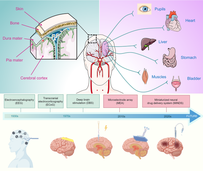 Revolutionizing brain‒computer interfaces: overcoming biocompatibility ...