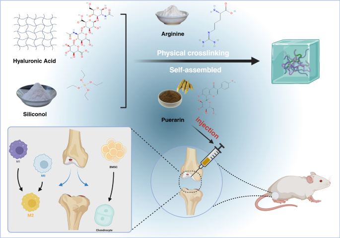 Investigation of the effects of Si-A/PUE@HA hydrogels on the ...