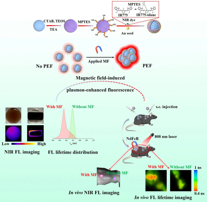 Magnetic field-induced plasmonic enhancement of near infrared fluorescence from a ...