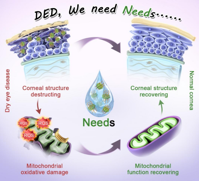 Amorphous layered double hydroxide-based nano-enzyme eye drops against ...