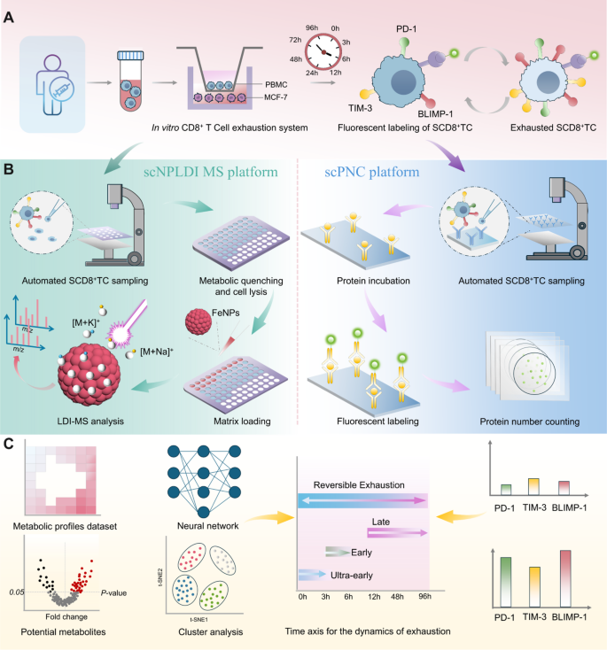 Multi-modal single-cell platform for nanoparticle-enhanced time-series ...