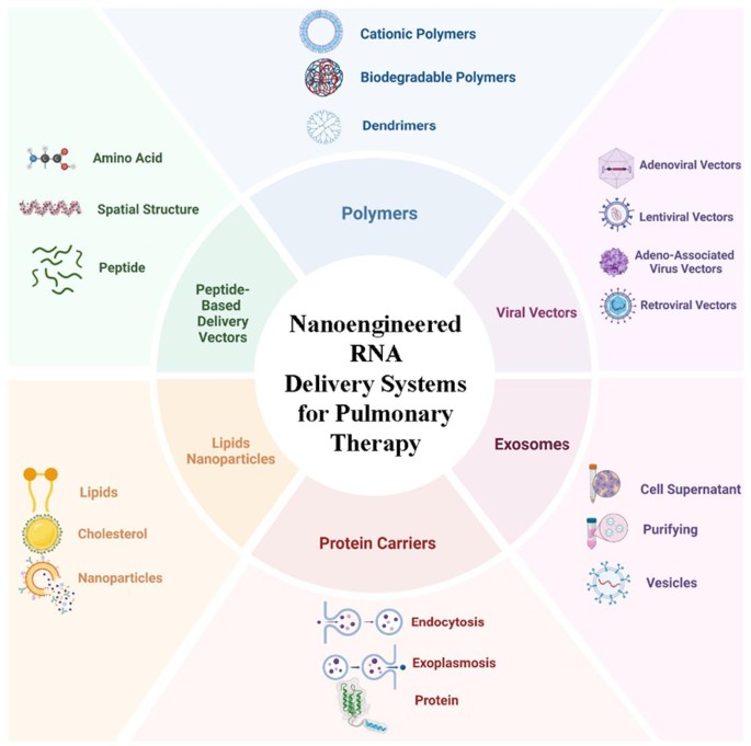 Lung-targeted RNA delivery systems: strategies and therapeutic ...