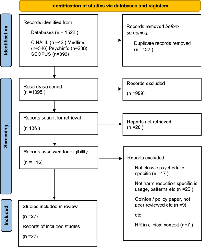 Harm reduction practises for users of psychedelic drugs: a scoping ...