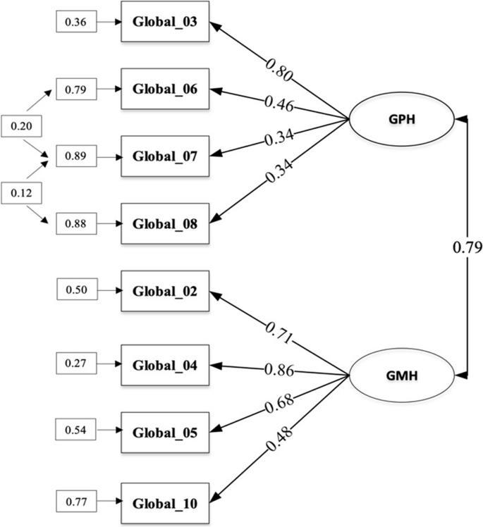 Assessing the validity and reliability of the Indonesian version of ...
