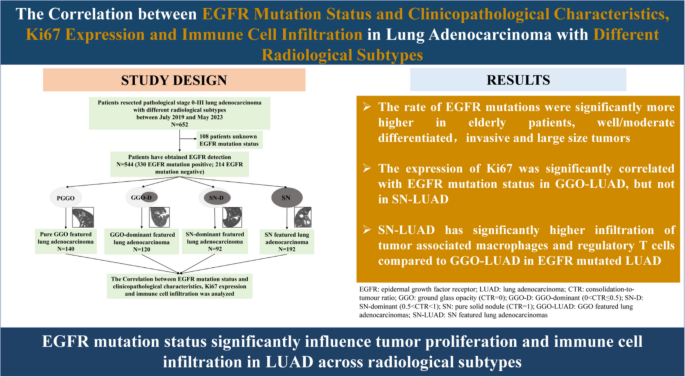 The correlation between EGFR mutation status and clinicopathological ...