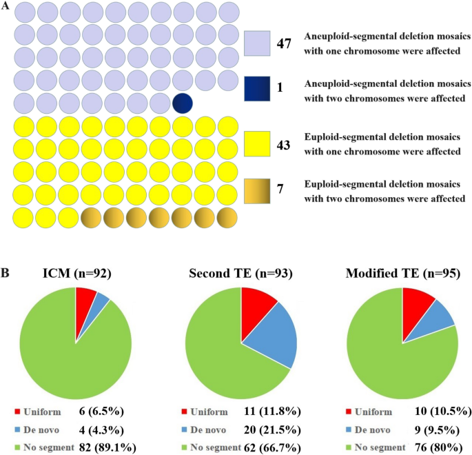 Re-biopsy and modified biopsy in mosaic human embryos with simple ...
