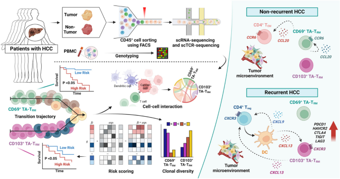 Molecular landscape of tumor-associated tissue-resident memory T cells ...