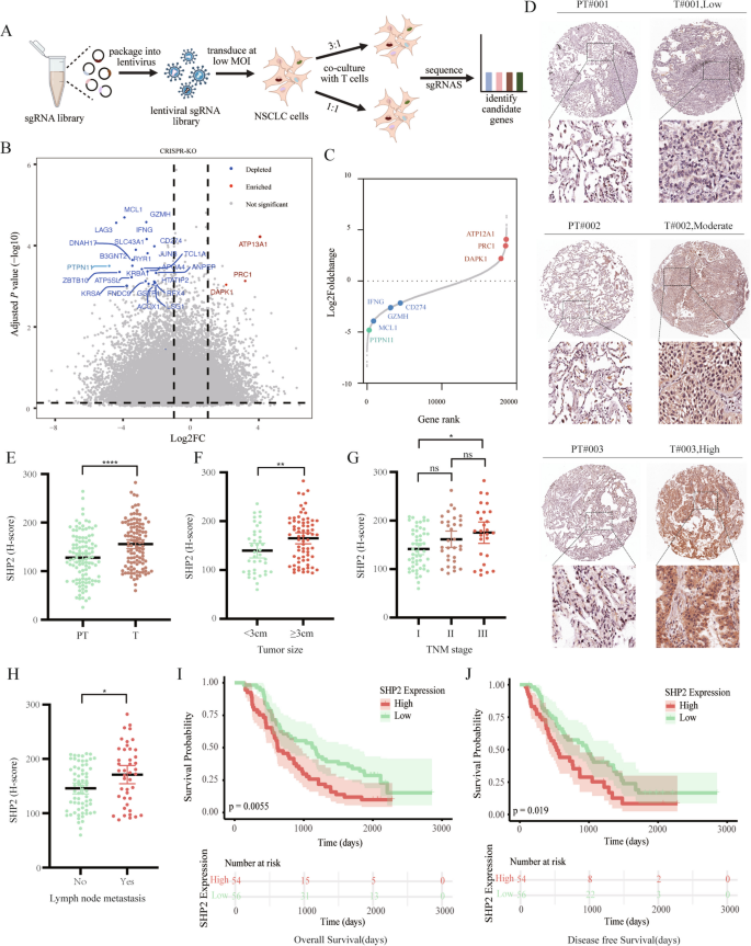 Targeting SHP2 to reverse immune evasion and resistance to anti-PD-1 ...
