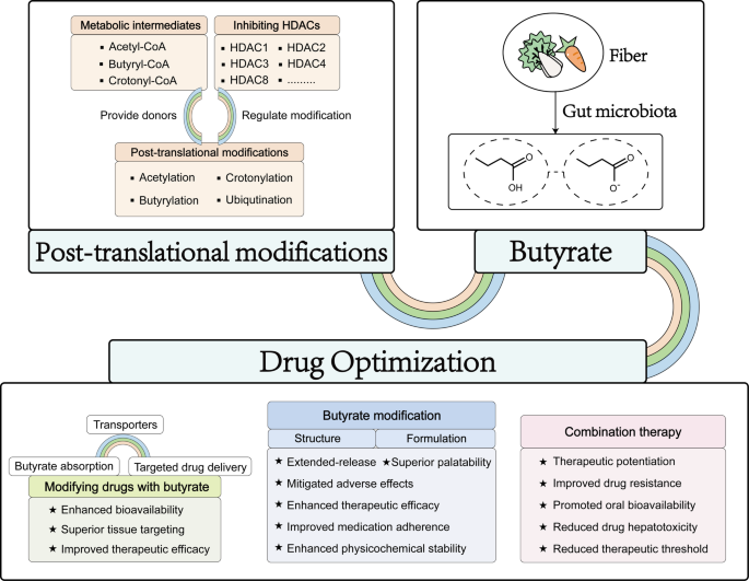 Epigenetic orchestrator and drug enhancer: dual roles of butyrate in regulating post ...