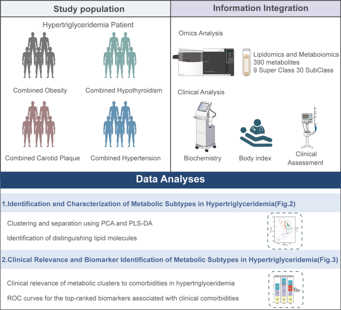 Metabolic subtypes in hypertriglyceridemia and associations with ...