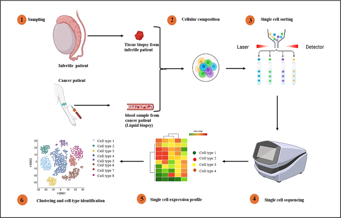 Droplet-based single-cell RNA sequencing: decoding cellular heterogeneity for breakthroughs in ...