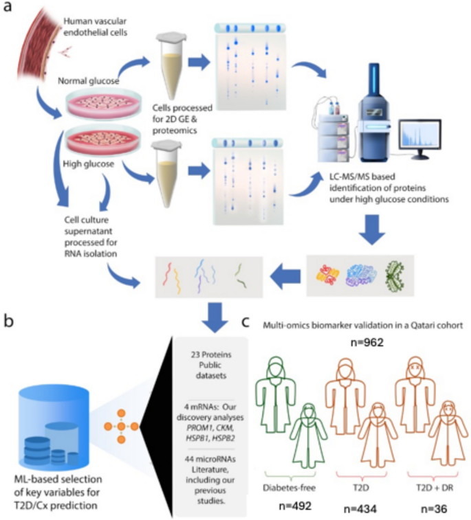 Plasma multi-omics and machine learning reveal predictive biomarkers ...