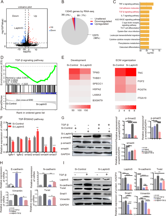 LAPTM5 drives omental metastasis in high-grade serous ovarian cancer ...