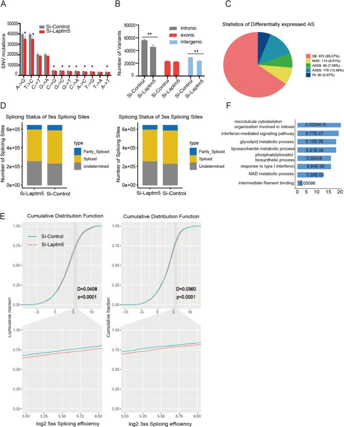 LAPTM5 drives omental metastasis in high-grade serous ovarian cancer ...