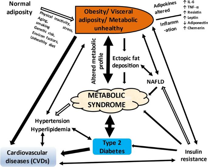 Interconnected epidemics: obesity, metabolic syndrome, diabetes and ...