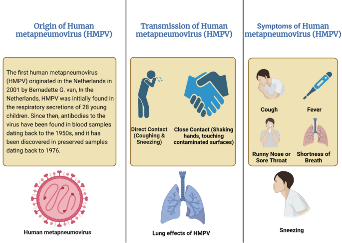 The pathogenicity and potential risk evaluation of human ...