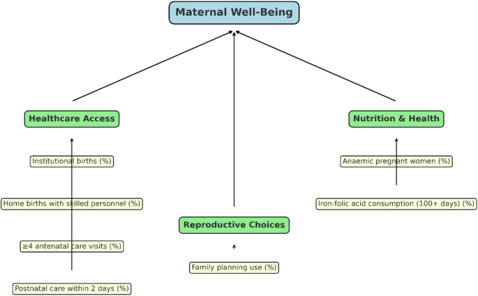 Uneven progress in maternal health evaluated through a district level ...