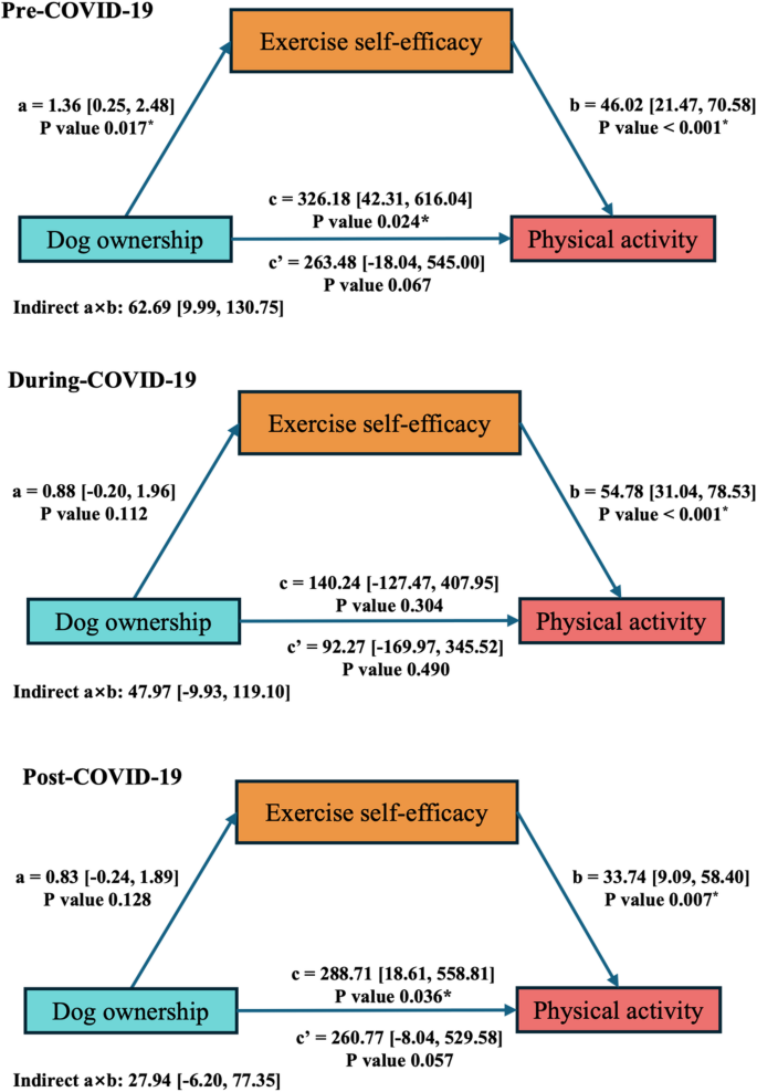 Effects of dog ownership and exercise self-efficacy on physical ...