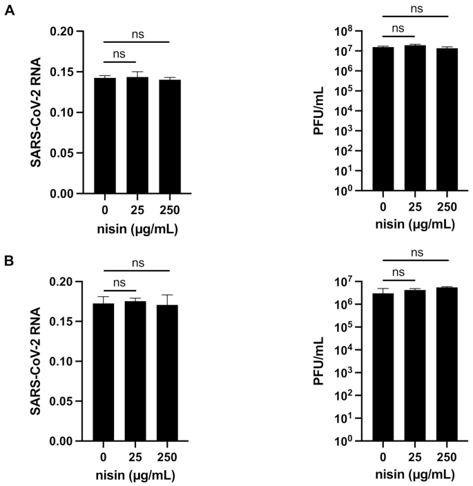 The antimicrobial peptide nisin promotes host cell survival during SARS ...