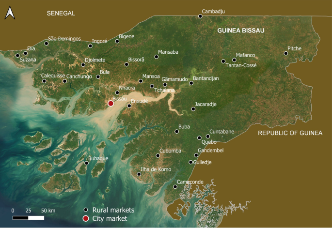 Diversity of wild edible plants of Guinea-Bissau (West Africa ...