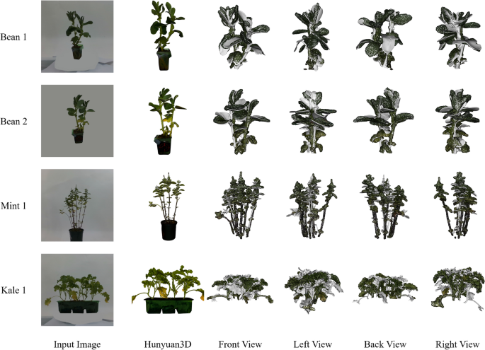 Evaluation of one-image 3D reconstruction for plant model generation ...