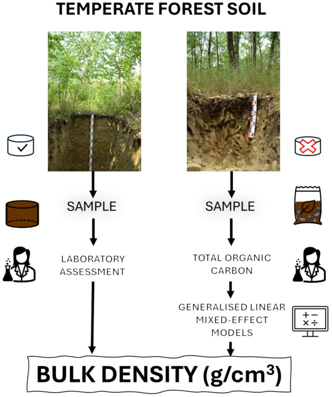 Defining the relationship between bulk density and organic carbon ...