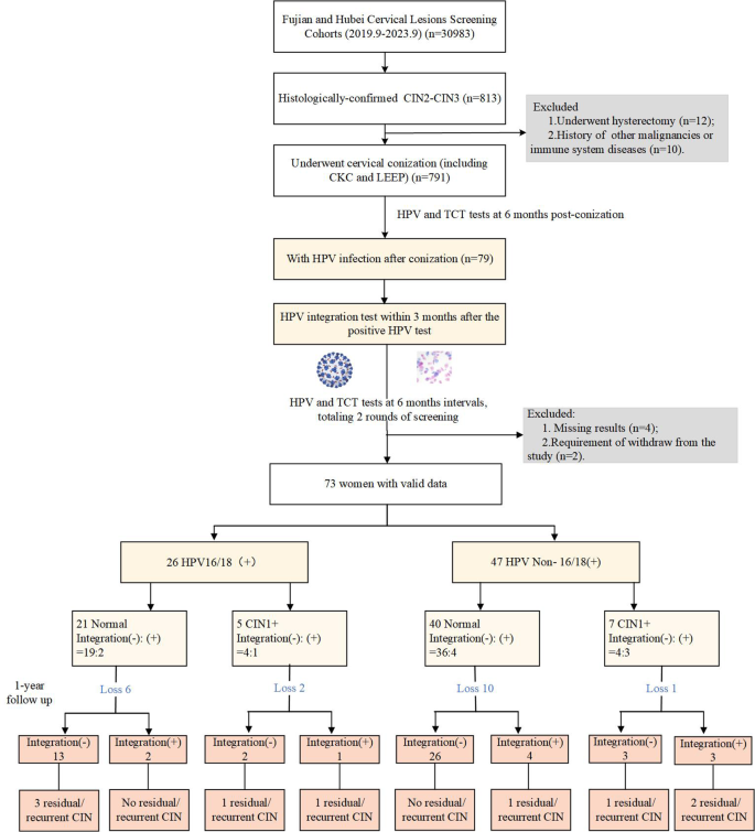 Risk of residual/recurrent cervical diseases in HPV-positive women post ...