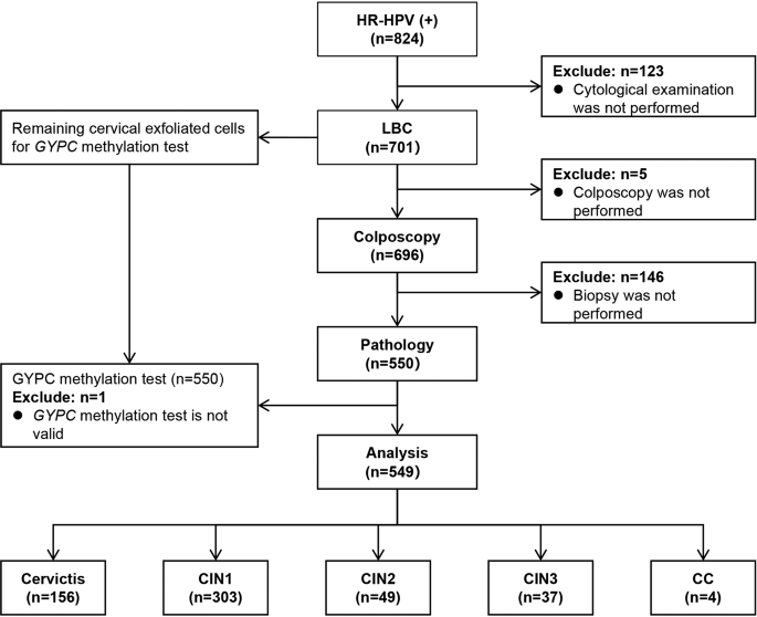 GYPC methylation performance in detecting cervical (pre)cancer in high ...