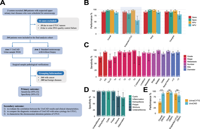 Clinical validation of UroCAD test for upper tract urothelial carcinoma ...