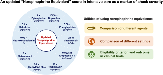 Correction: An updated “norepinephrine equivalent” score in intensive ...