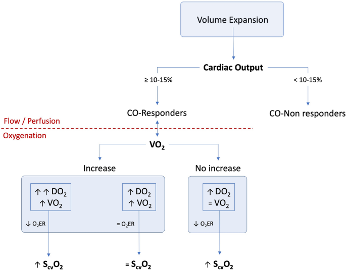 Assessing fluid responsiveness with central venous oxygen saturation ...