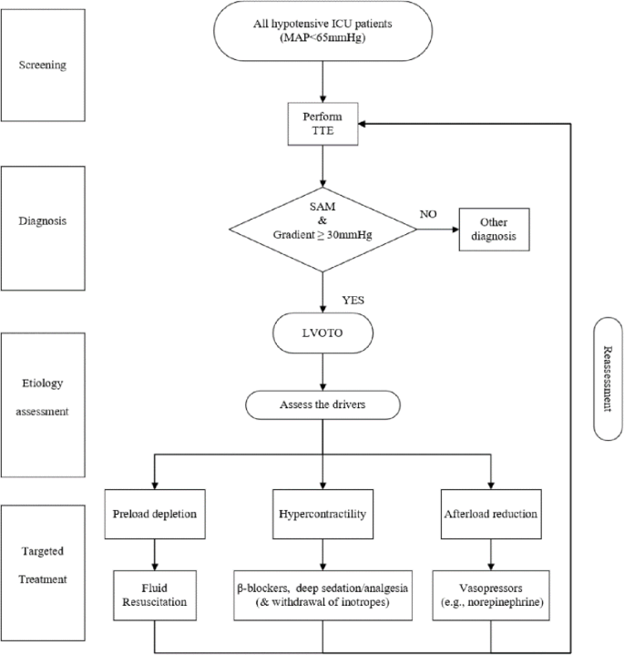 Dynamic left ventricular outflow tract obstruction in critical illness ...