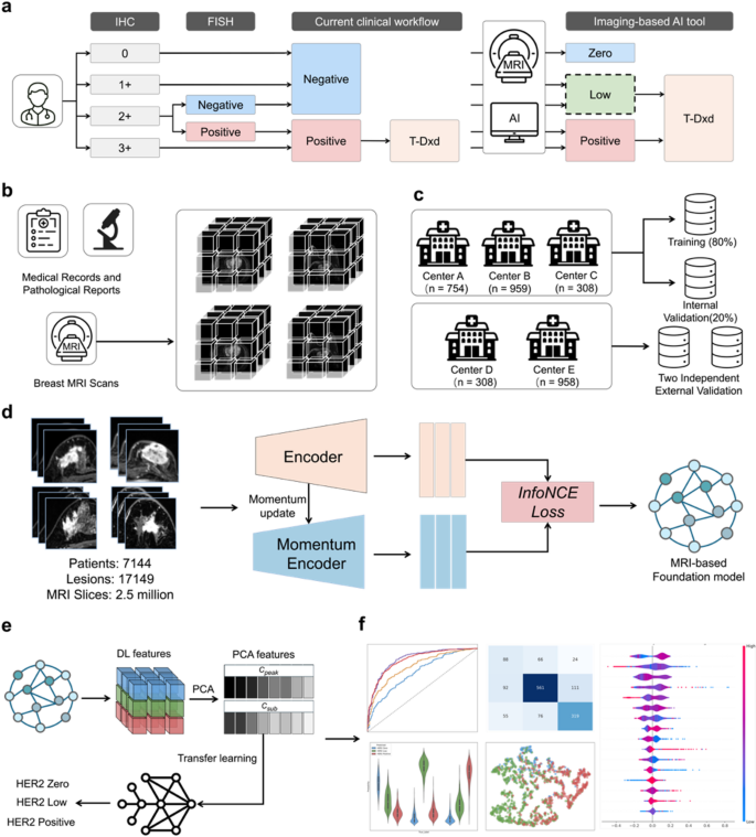 AI-driven MRI biomarker for triple-class HER2 expression classification ...