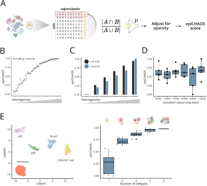 EpiCHAOS: a metric to quantify epigenomic heterogeneity in single-cell ...