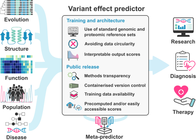 Guidelines for releasing a variant effect predictor | Genome Biology | Full Text