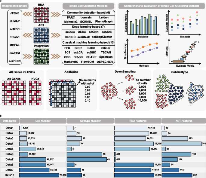 Comparative benchmarking of single-cell clustering algorithms for transcriptomic and proteomic ...
