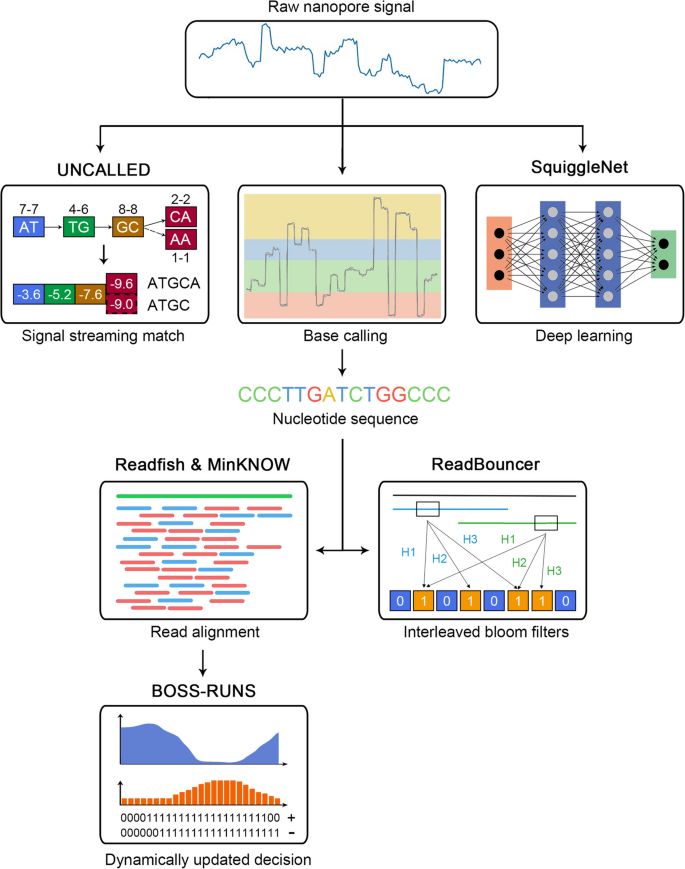 A comprehensive benchmarking of adaptive sampling tools for nanopore ...