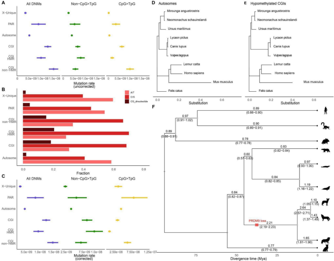 Determinants of de novo mutations in extended pedigrees of 43 dog ...