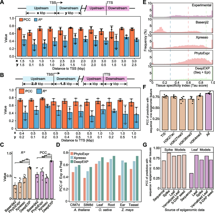 DeepWheat: predicting the effects of genomic variants on gene expression and regulatory ...