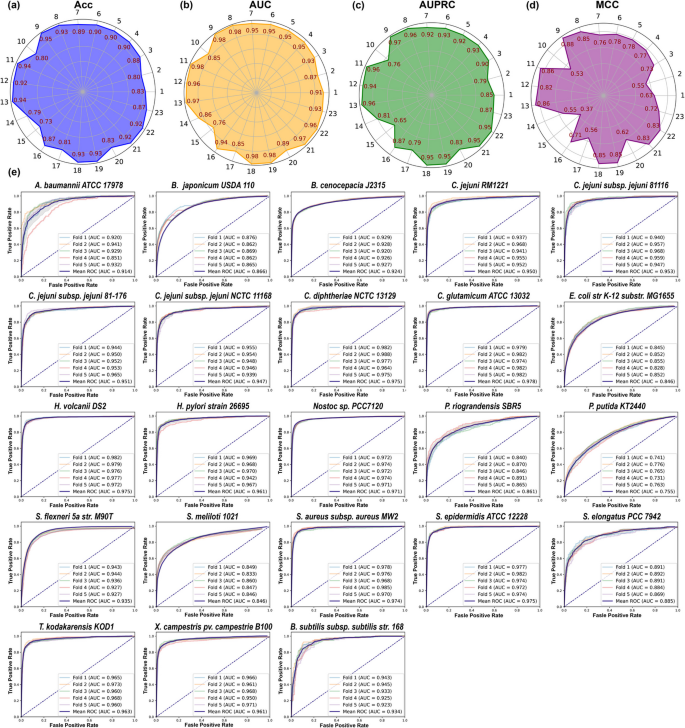 iPro-MP: a BERT-based model to predict multiple prokaryotic promoters ...